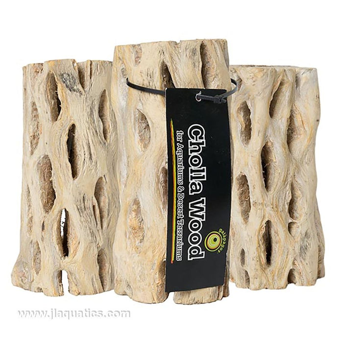 Cholla Wood Branch - 6 Inch 3 Pack | JLAquatics Canada – J&L Aquatics Ltd.